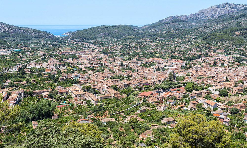 Photo Project 2020 | SollerWeb